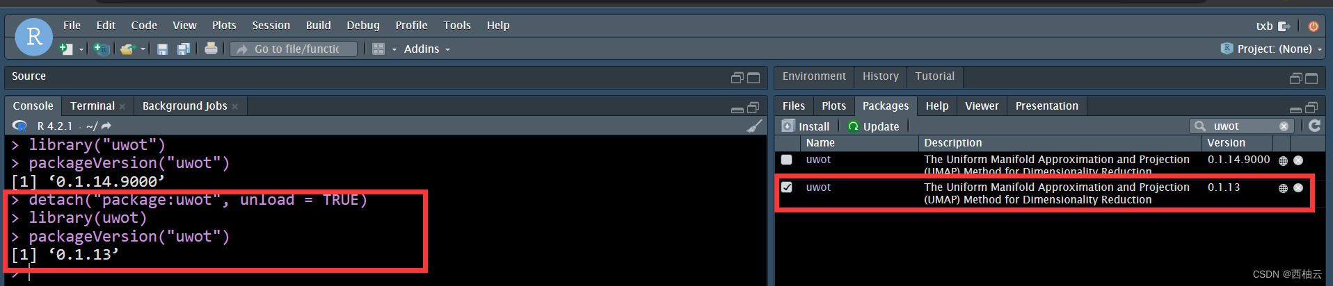 在rstudio-server中使用R包的不同版本 | xiyoucloud