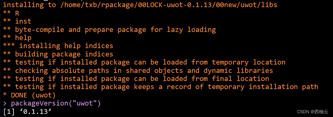 在rstudio-server中使用R包的不同版本 | xiyoucloud