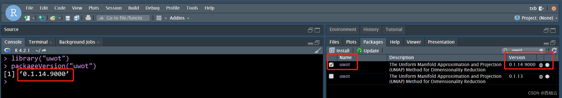 在rstudio-server中使用R包的不同版本 | xiyoucloud