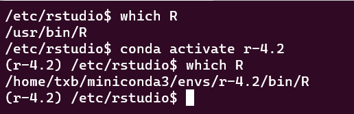 切换rstudio-server中的R | xiyoucloud