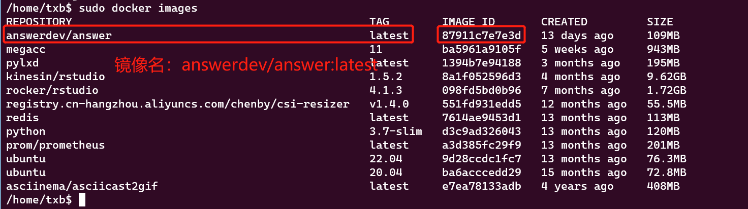 Docker使用教程 Xiyoucloud