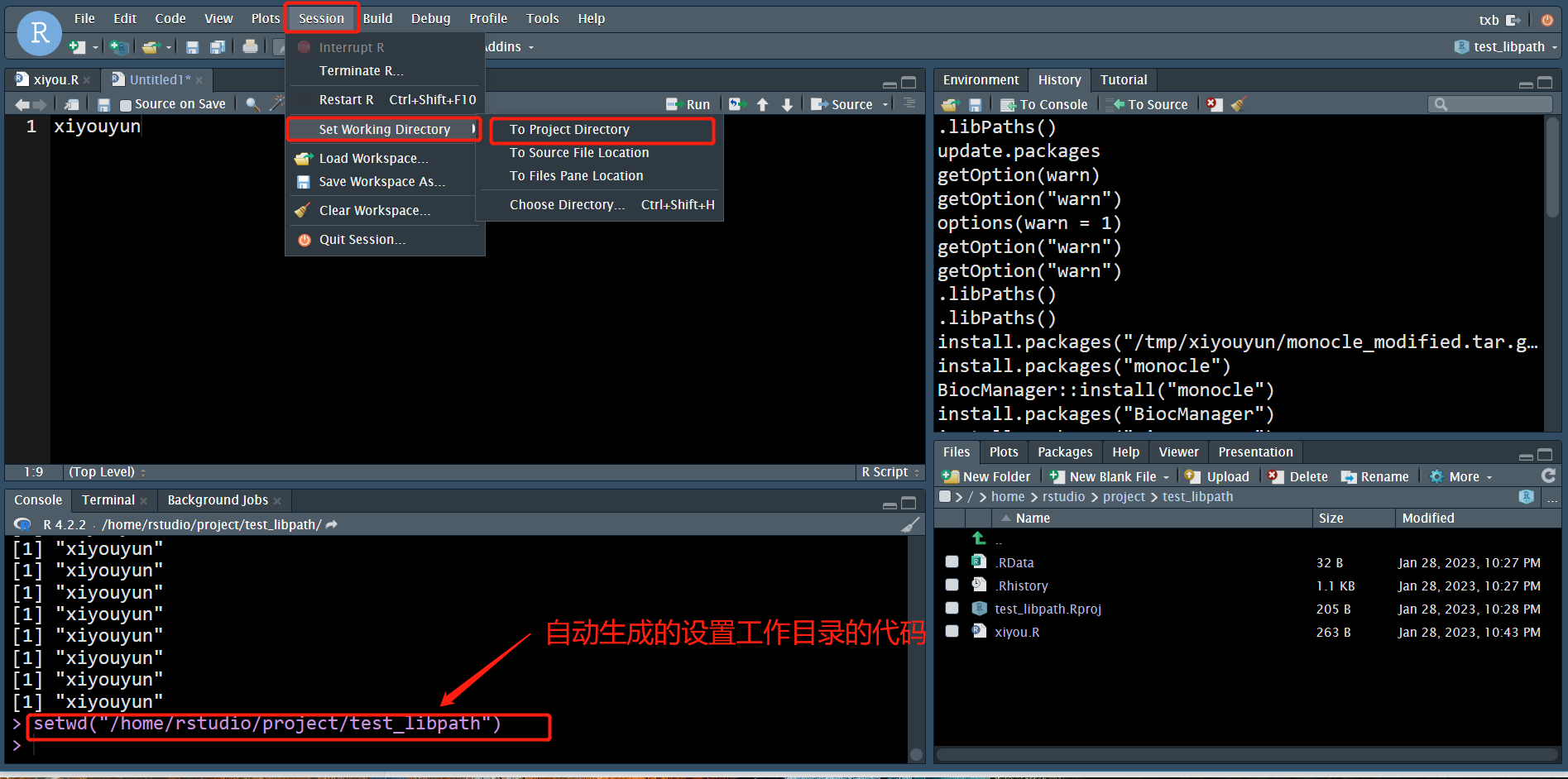 rstudio使用技巧 | xiyoucloud