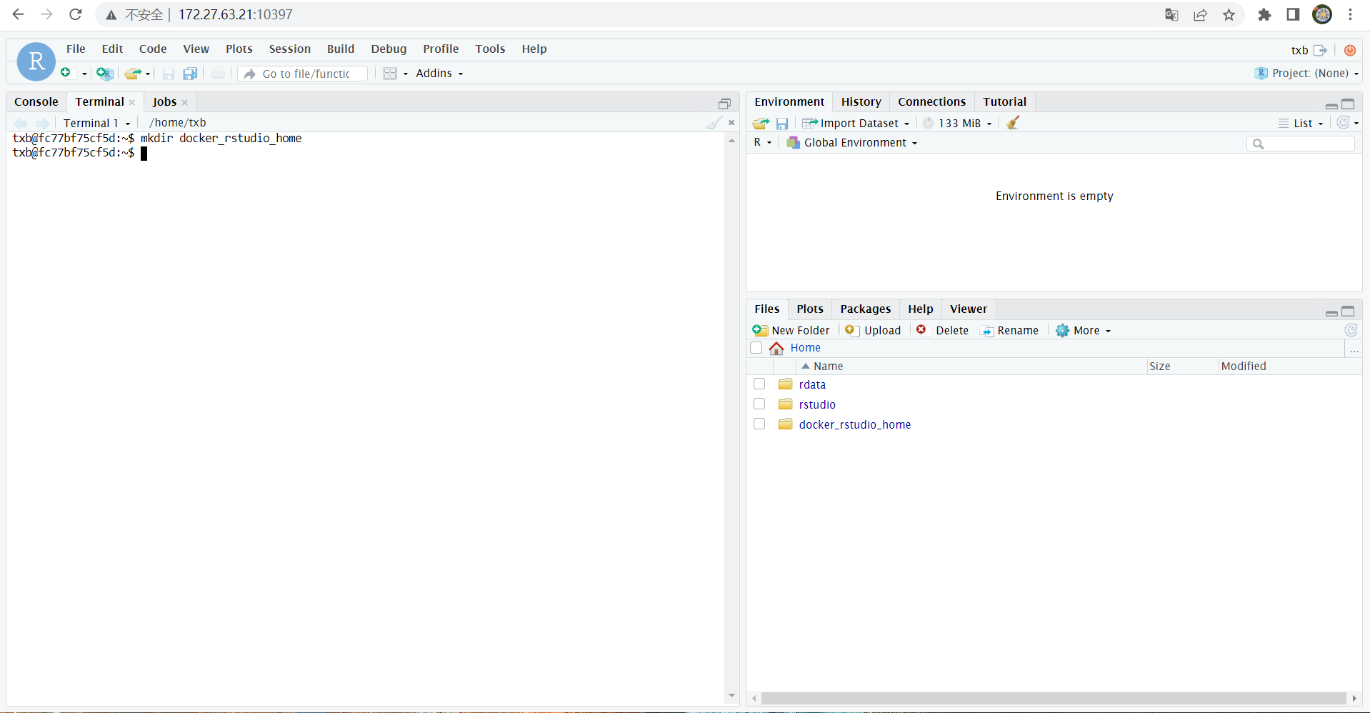 使用docker运行rstudio并指定R版本 | xiyoucloud